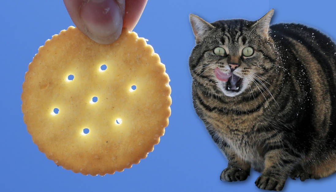 Can Cats Eat Ritz Crackers? Snack Choices for Cats Demystified